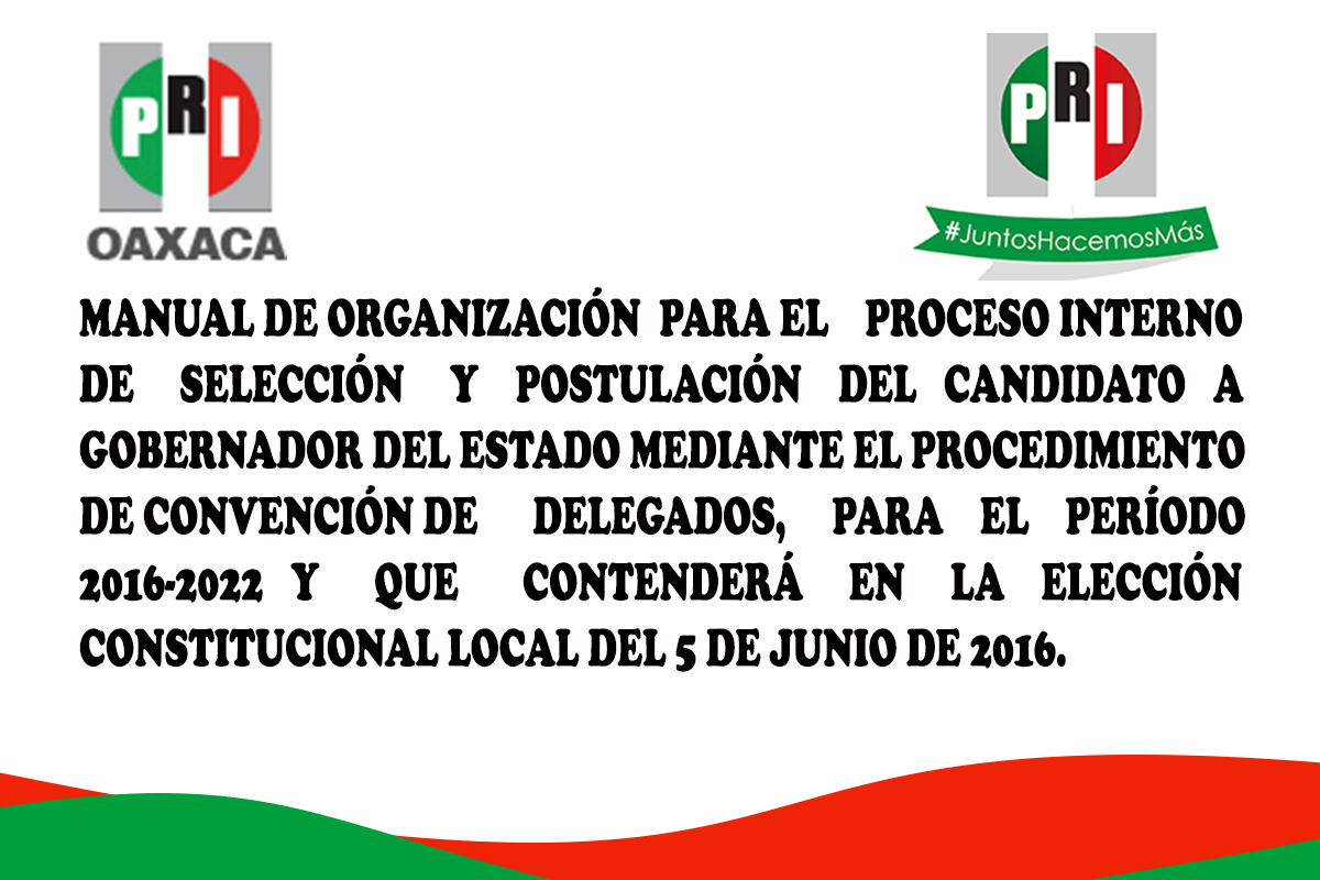 Manual De OrganizaciÓn Para El Proceso Interno De SelecciÓn Y